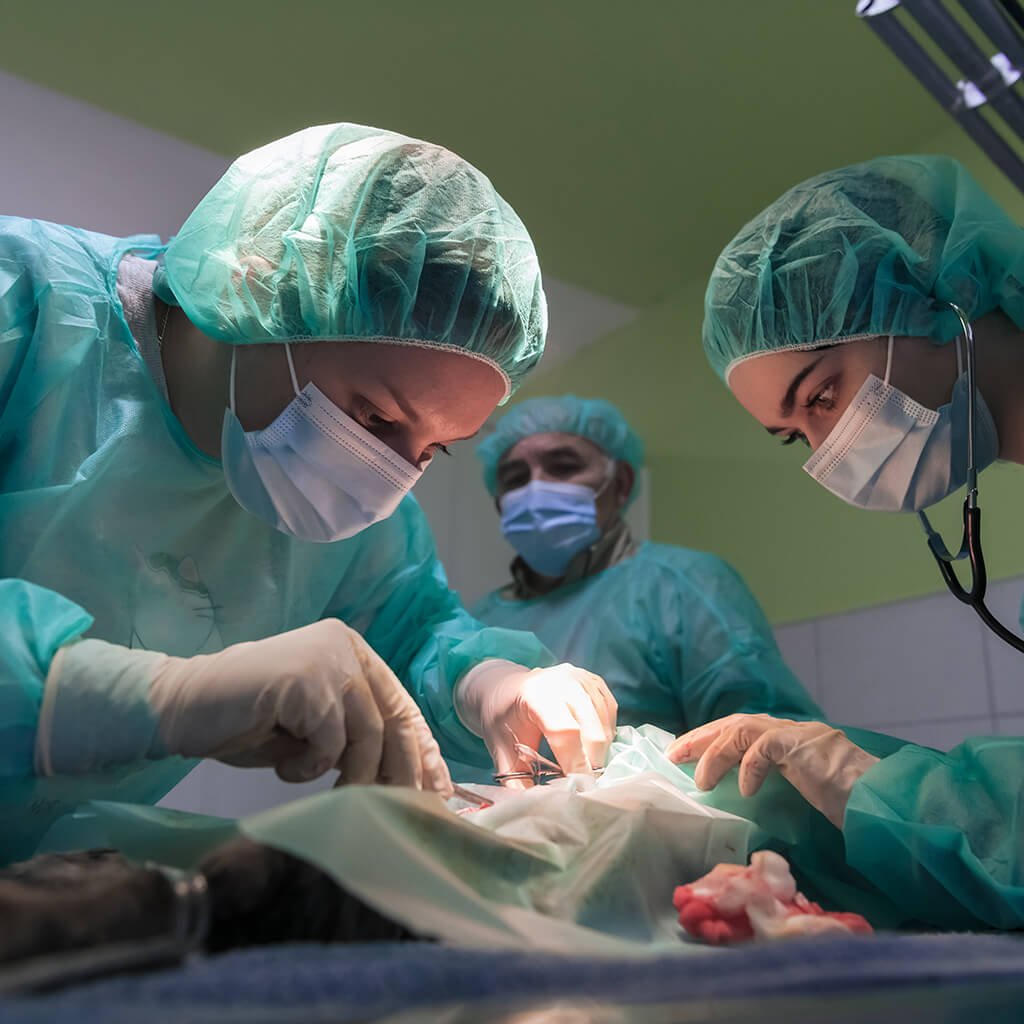 Paediatric Surgery - Samford Hospital